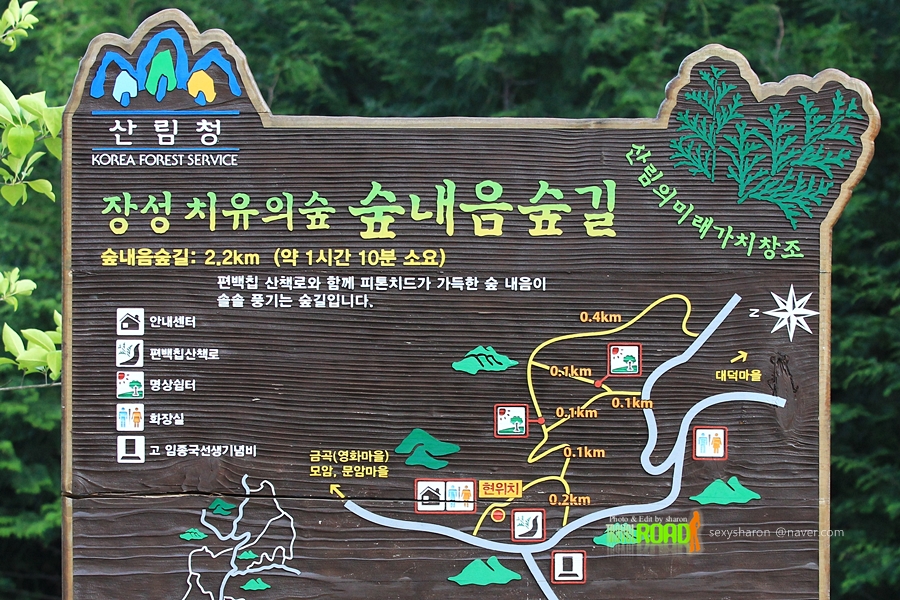 장성 편백나무숲 치유의숲 장성여행 장성 축령산 자연휴양림 추천산림욕장 산책길 6월 가족여행 힐링여행 네이버 블로그