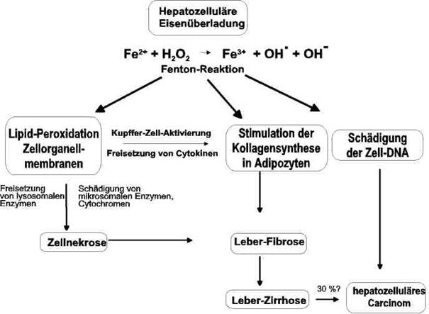 Fenton reaction (팬톤반응)에서 Hydroxyl radical (˙OH) 생성 : 네이버 블로그