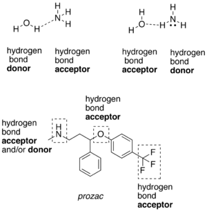수소결합 (Hydrogen bond) : 네이버 블로그
