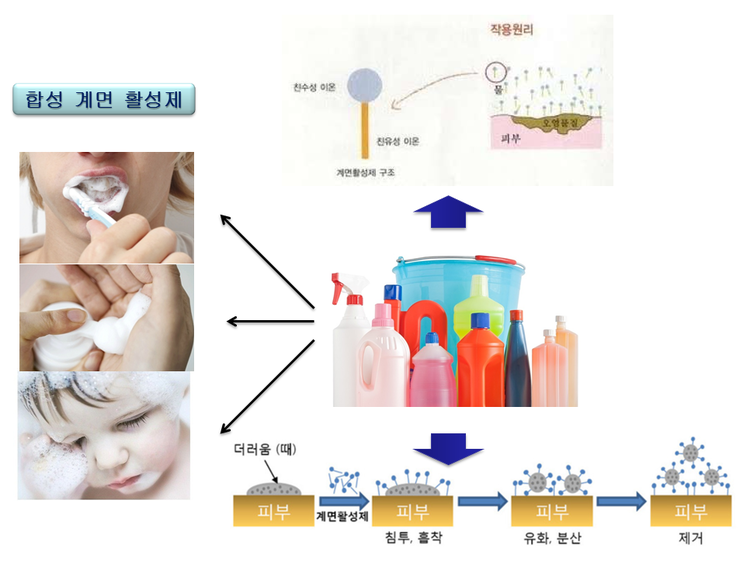 계면활성제 경피독 한국pandg사의 다우니를 통해 본 합성물질의 문제점 사포닌과 레시틴을 이용한 천연 친환경 세제 네이버 블로그