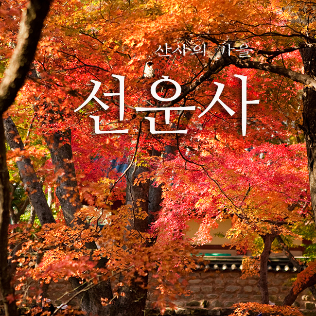 선운사 고창 선운사가을단풍여행지추천전라도 여행지추천가을여행지 네이버 블로그