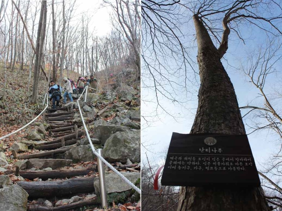 청태산 등산코스등산지도 청태산자연휴양림 네이버 블로그