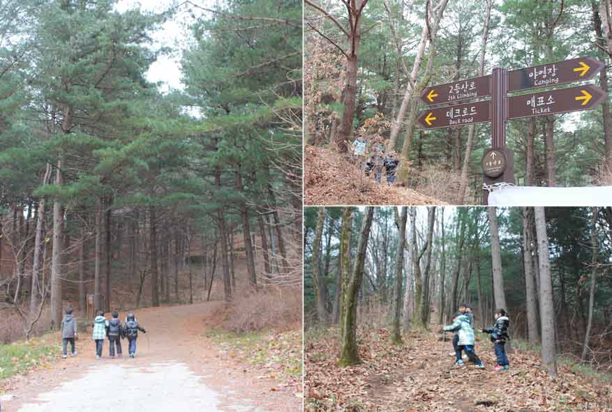청태산 등산코스등산지도 청태산자연휴양림 네이버 블로그