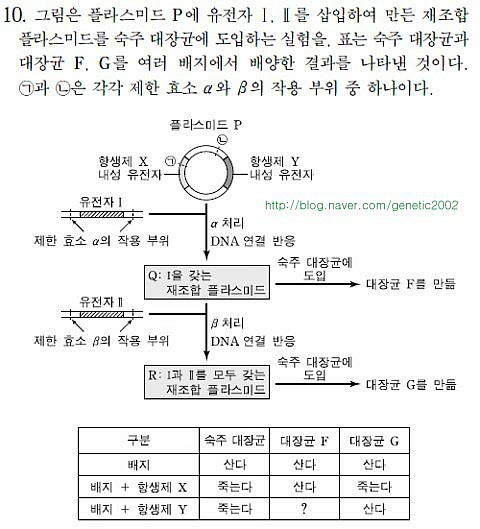 그림은 플라스미드 P에 유전자 I Ii를 삽입하여 만든 재조합 플라스미드 2013년 대수능 생물 Ii 10번유전자재조합