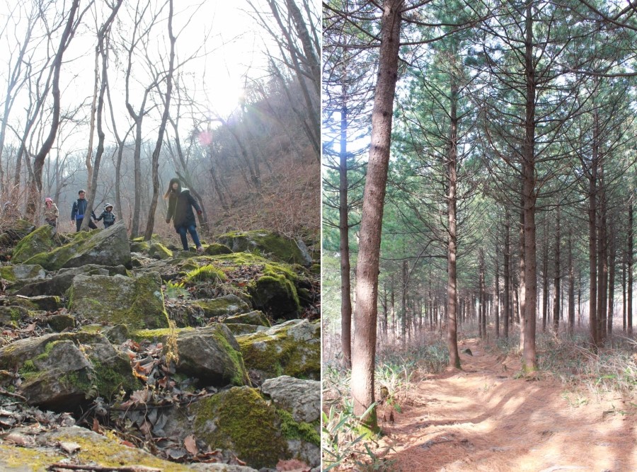 청태산 등산코스등산지도 청태산자연휴양림 네이버 블로그