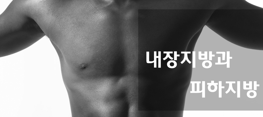 내장지방과 피하지방의 차이점 분석과 그 해결방법은 네이버 블로그