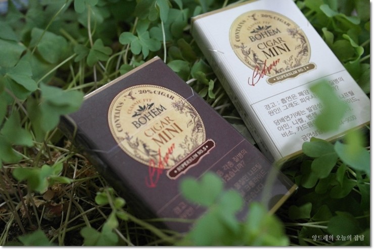 쿠바의 느낌을 담은 보헴시가 미니 맛 과 멋, KT&G BOHEM CIGAR MINI : 네이버 블로그