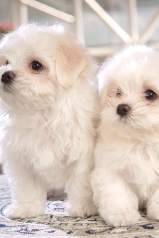 65g녀 너무사랑스러워★ : 네이버 블로그