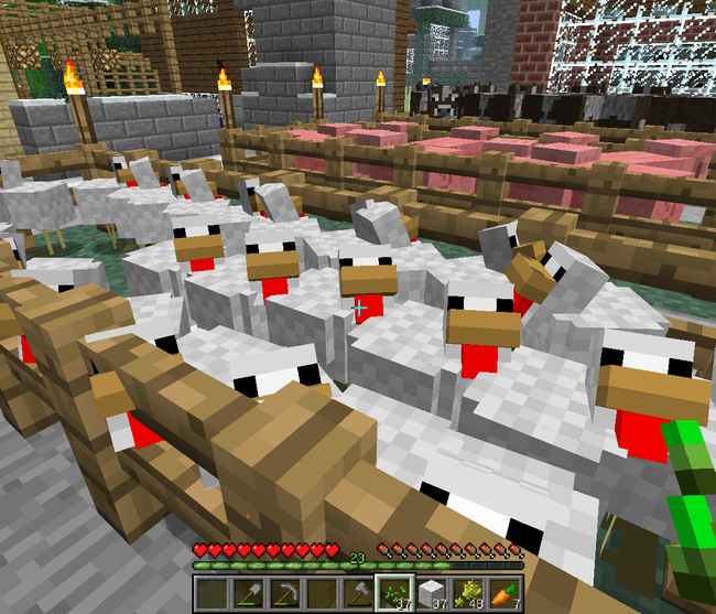 마인크래프트 동물 길들이기 - 닭 돼지 소 : 네이버 블로그