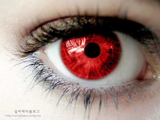 눈동자 색깔 오드아이 다양한 눈동자 색깔들 파란눈 금색눈 보라색눈★ 네이버 블로그