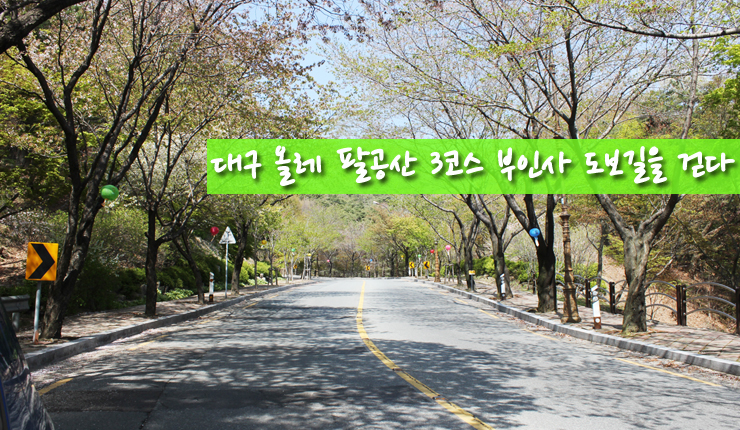 월간기획 힐링의 도시 대구를 걷다 팔공산 올레길 3코스대구부인사부인사도보길신무동마애불좌상 네이버 블로그