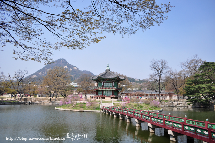 경복궁경복궁의봄서울 봄나들이추천 봄꽃 흐드러진 경복궁의 봄풍경 네이버 블로그