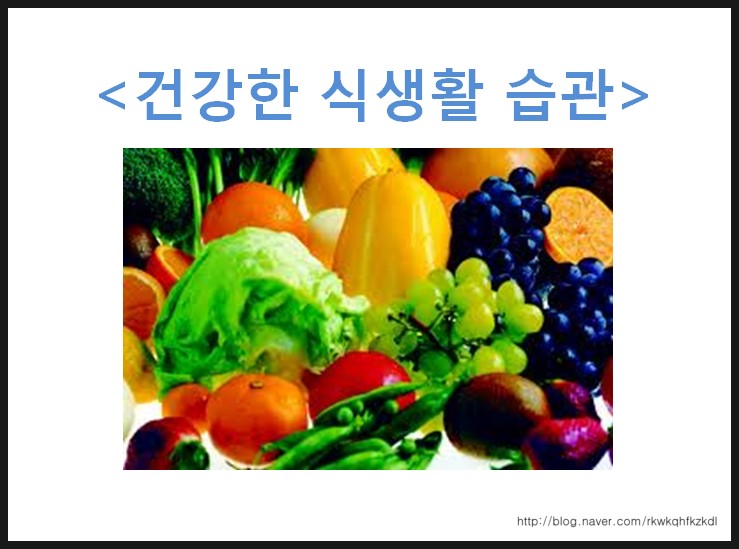 건강한식생활습관 교육자료 Ppt 네이버 블로그