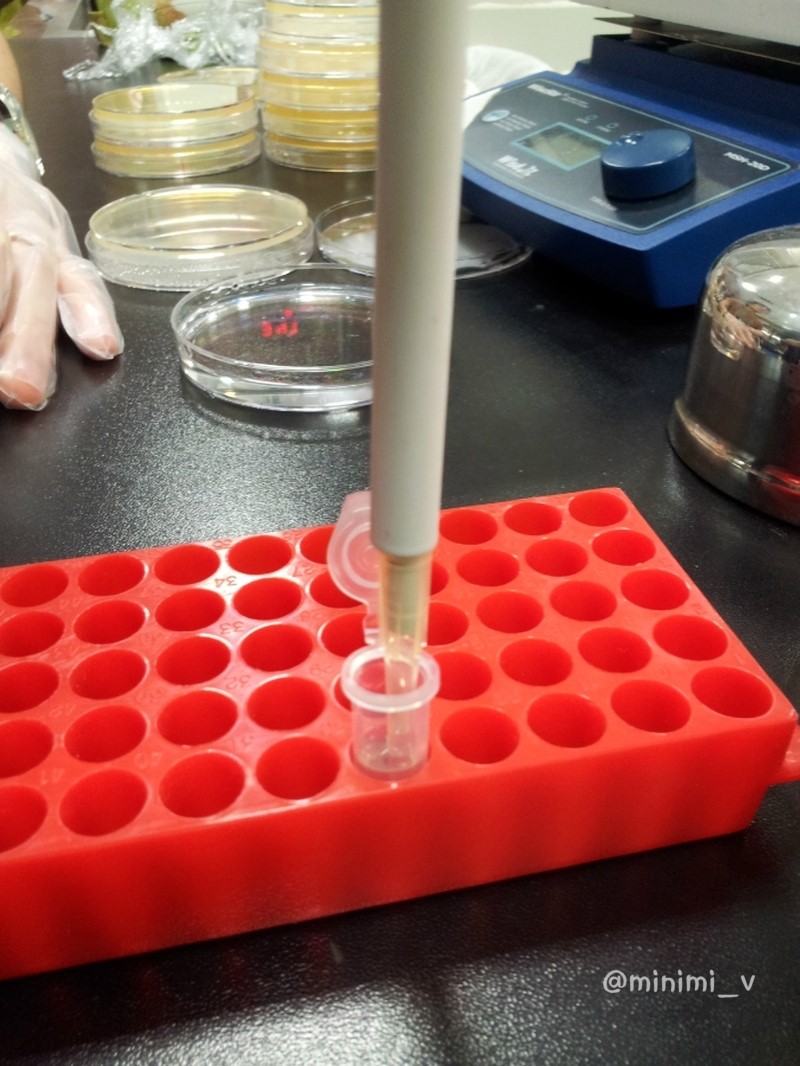 항균력 실험 (Disc diffusion method) : 네이버 블로그