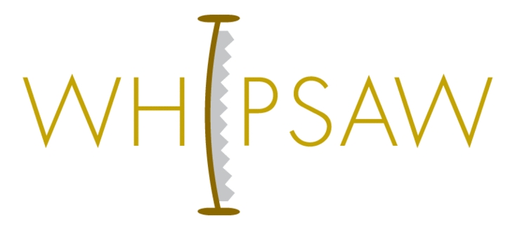 [주식용어] 휩소(whipsaw)란? : 네이버 블로그