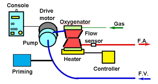 EBS(Emergency Bypass System) : 네이버 블로그