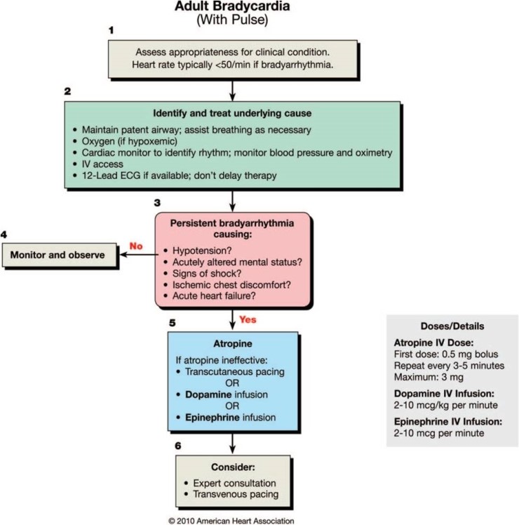 서맥의 응급치료 알고리즘 [미국심장협회] : 네이버 블로그