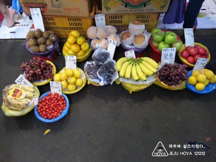 제주 오일시장5일장 서는 날짜와 위치 찾아가는 방법중문향토오일장서귀포향토오일장한림민속오일장성산오일장세화오일장표선