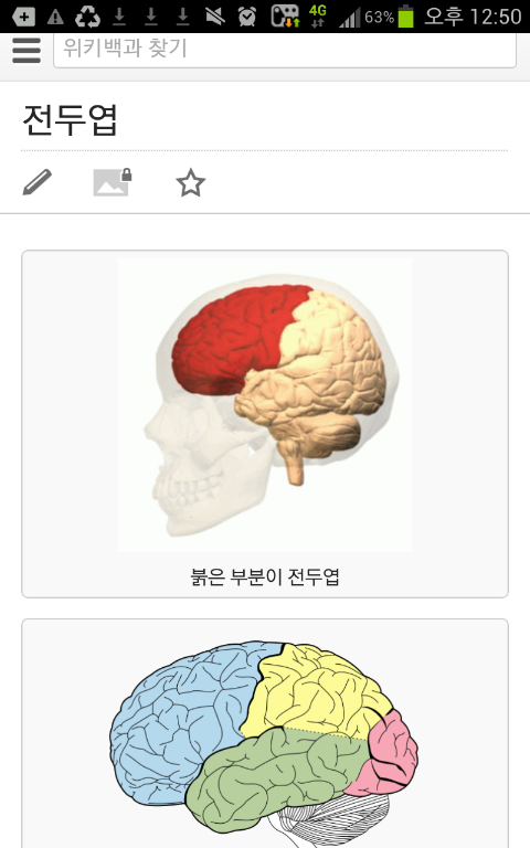 대뇌전두엽 두정엽측두엽후두엽 뇌혁명행복뇌웃음뇌교육임상웃음치료사 스트레스관리학부모교육 학생청소년교육전문강사 천년웃음이미정강사 네이버 블로그