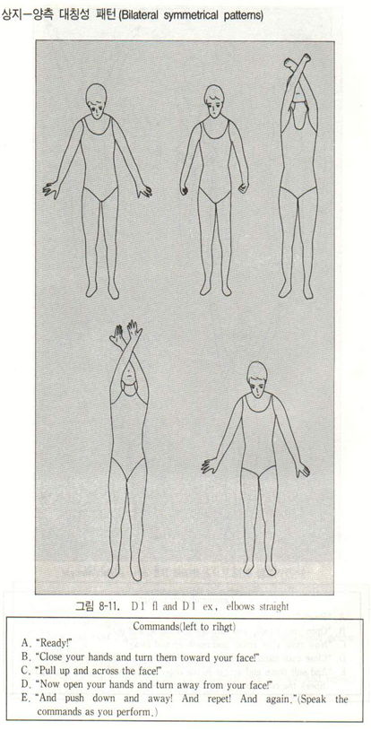 고유수용 신경근촉진법(PNF) : 네이버 블로그