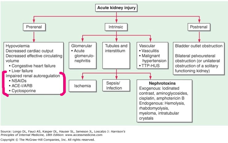 AKI (Prerenal AKI, Intrinsic AKI, Acute tubulointerstitial nephritis ...