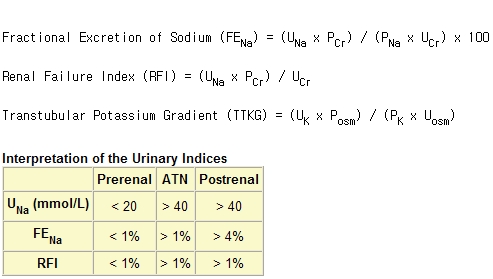 AKI (Prerenal AKI, Intrinsic AKI, Acute tubulointerstitial nephritis ...