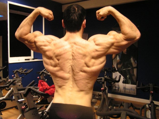 피트니스 모델 겸 보디빌더 헬무트 스트레블 Helmut-Strebl : 네이버 블로그