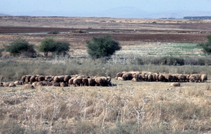 '엘리사(Elisha) 기적을 가르다' : 네이버 블로그