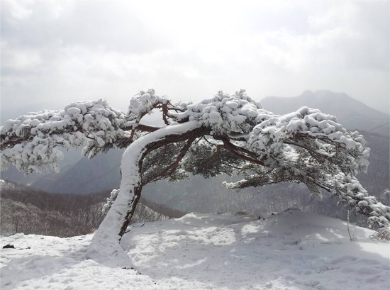 지리산, 설악산 등 국립공원 설경 명소 40곳 : 네이버 블로그
