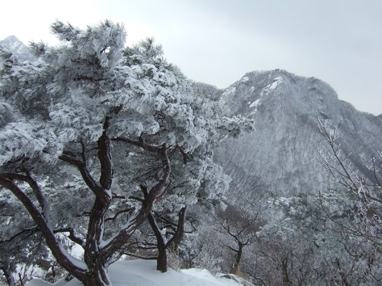 지리산, 설악산 등 국립공원 설경 명소 40곳 : 네이버 블로그