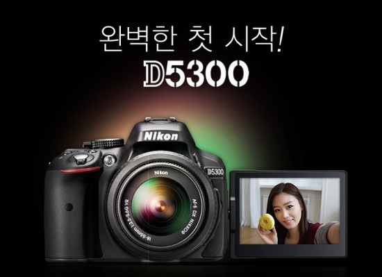 니콘 D5300 사용설명서(메뉴얼,매뉴얼,Manual) -Nikon D5300 Manual-[일본어/일본판] : 네이버 블로그
