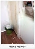 파주시 문산 호수아파트 몰딩부분페인트시공페인트박의 몰딩도색이야기파주페인트파주페인트시공파주페인공사삼화