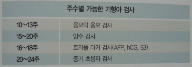 임신 14주차 기형아 검사를 받는다 트리플 마커 검사 Afphcg E3 알파 태아 단백질 검사 정상 나와라 제발
