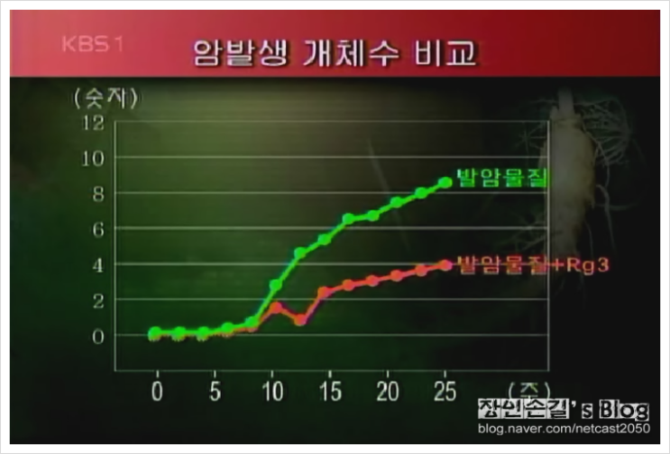인삼의 효능 진세노사이드 Rg3 암 예방 억제 효과 네이버 블로그