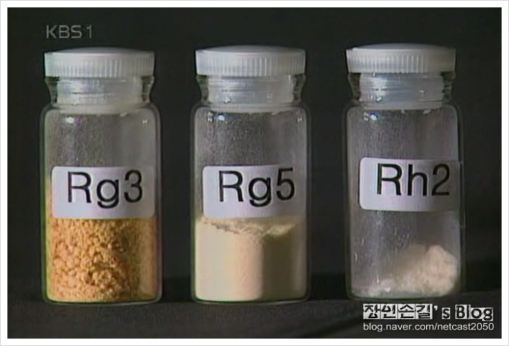 인삼의 효능 진세노사이드 Rg3 암 예방 억제 효과 네이버 블로그