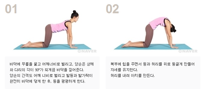 허리 스트레칭 의자에 앉아 몸 앞으로 굽히기 엎드려 몸통 올리기 몸 옆으로 굽히기 양 무릎 가슴으로 당기기 앉아