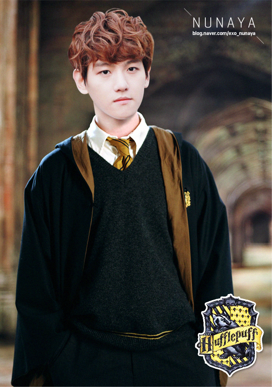 시우민이 호그와트 학생이라면?+시우민 해리포터 합성 : 네이버 블로그
