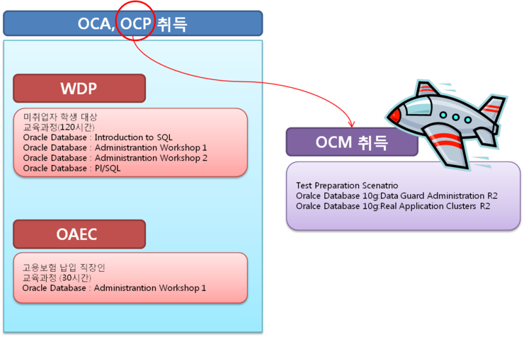 오라클 자격증 - WDP와 OAEC (OCA, OCP, OCM) : 네이버 블로그