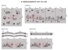 어린이집 유치원 안개시트지 제작시공 컷팅안개시트지디자인시트지 제작학교 창문 썬팅 어린이집 창문시트지유치원 유리창