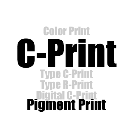 C-Print 란 무엇인가?! : 네이버 블로그