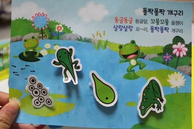 개구리의 성장과정 올챙이 키우기 올챙이 키우는 방법 올챙이 먹이 네이버 블로그