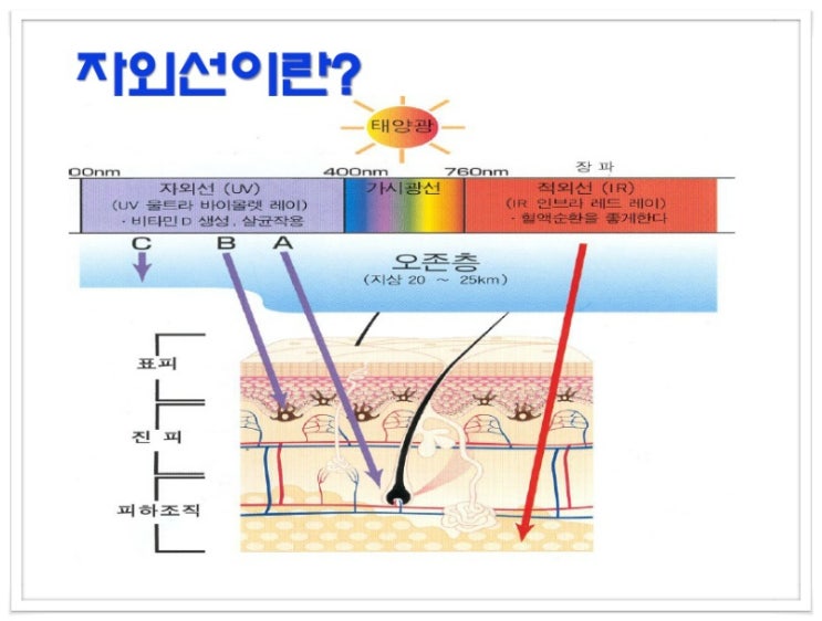 자외선 차단 원리와 선글라스 색깔 선택자외선 차단제 사용법 네이버 블로그