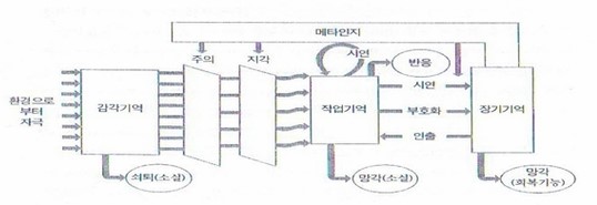 교육심리 5 인지주의 학습이론 정보처리모형과 복잡한 인지과정메타인지와 전이 망각 네이버 블로그