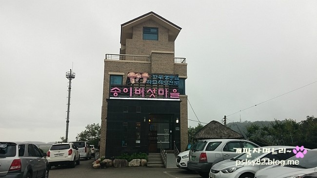 양양 송이버섯 맛집송이버섯마을 양양 낙산해수욕장 근처에서 만난 맛집 송이버섯마을 네이버 블로그