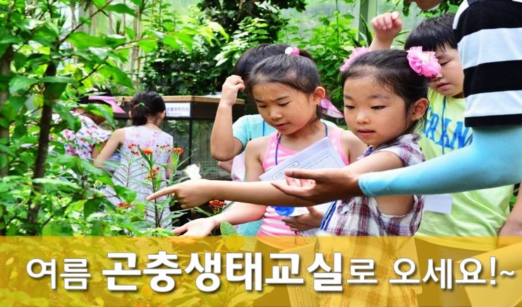 대구 여름방학 체험 봉무공원 나비생태원에서 청소년 여름 곤충생태교실로 특별한 여름방학을 네이버 블로그