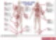 관절낭양상 (capsular pattern) : 네이버 블로그