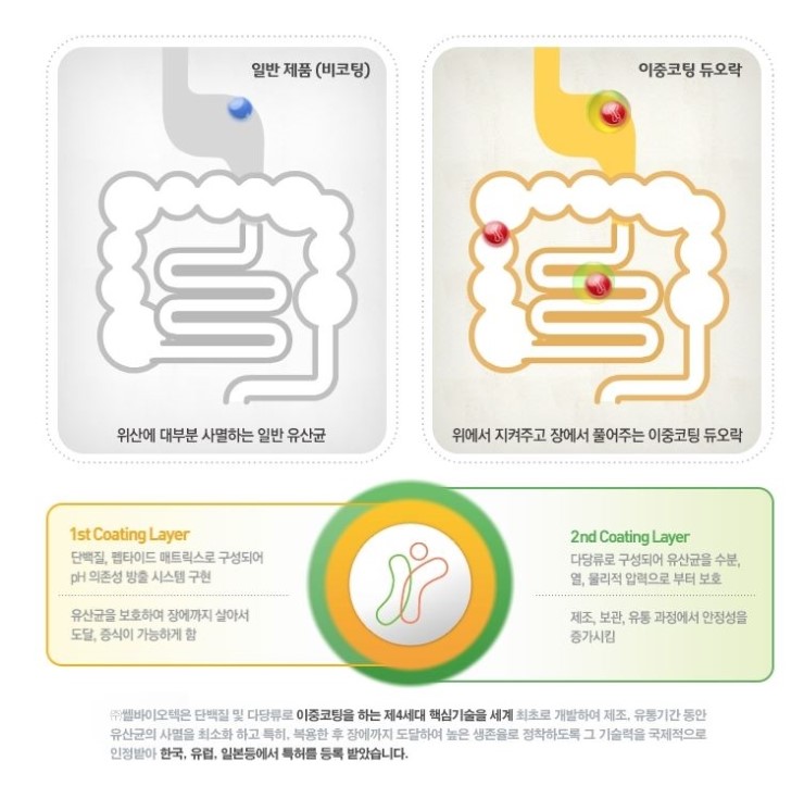 프로바이오틱스 유산균 이중코팅유산균과 유산균 냉장보관 이중코팅의 필요성은 네이버 블로그