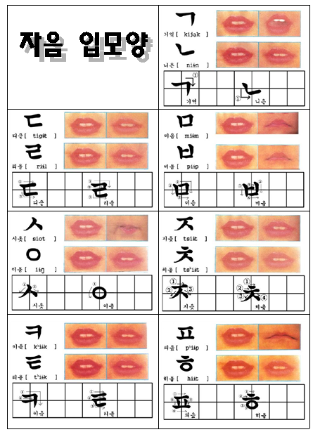 [조음치료]자음 입모양 사진 : 네이버 블로그