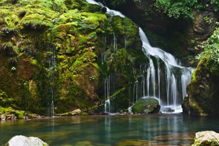 이끼계곡을 찾아서 : 네이버 블로그