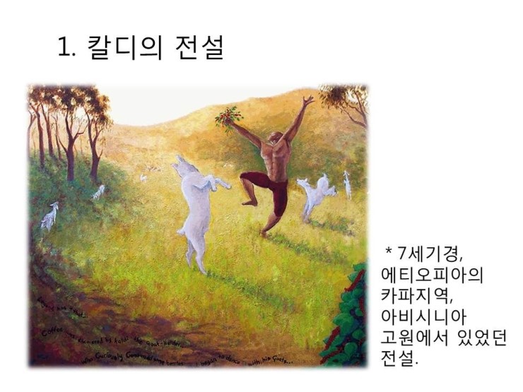 채스 커피 이론 Ppt자료 Part2 커피의 전설과 기원 역사 그리고 식물학 네이버 블로그